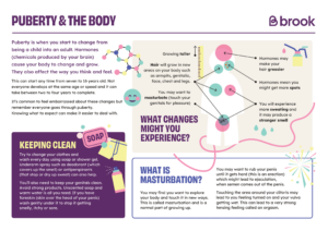 Free RSE resources – Brook