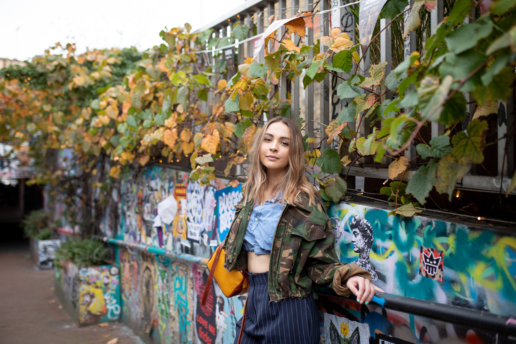 Our publications and reports – Brook