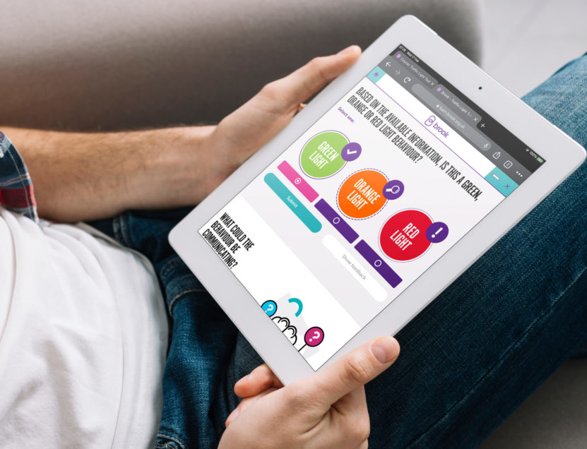 CPD: Brook Sexual Behaviours Traffic Light Tool (RSE) Course