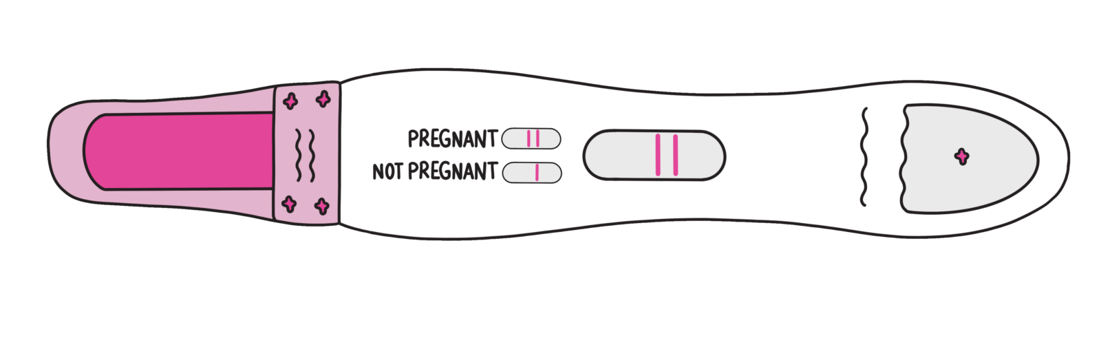 Pregnancy Test: Am I Pregnant? Pregnancy Signs And Tests