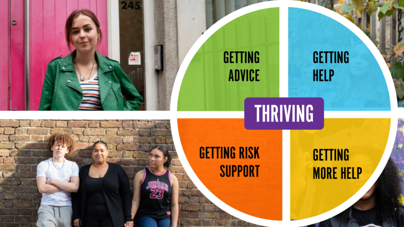 Adopting the THRIVE framework - Brook