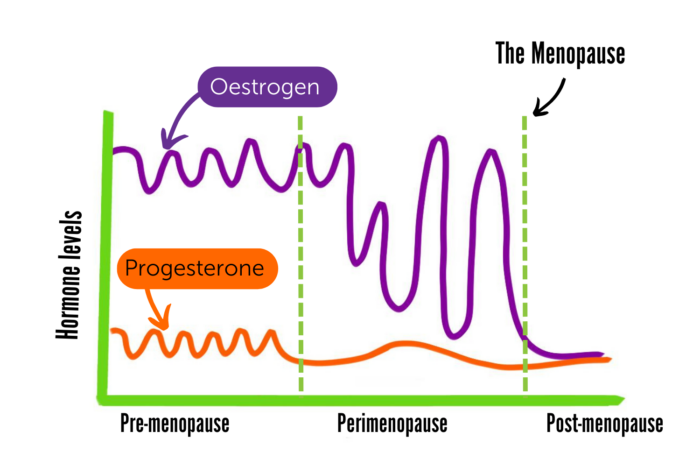Menopause – Brook