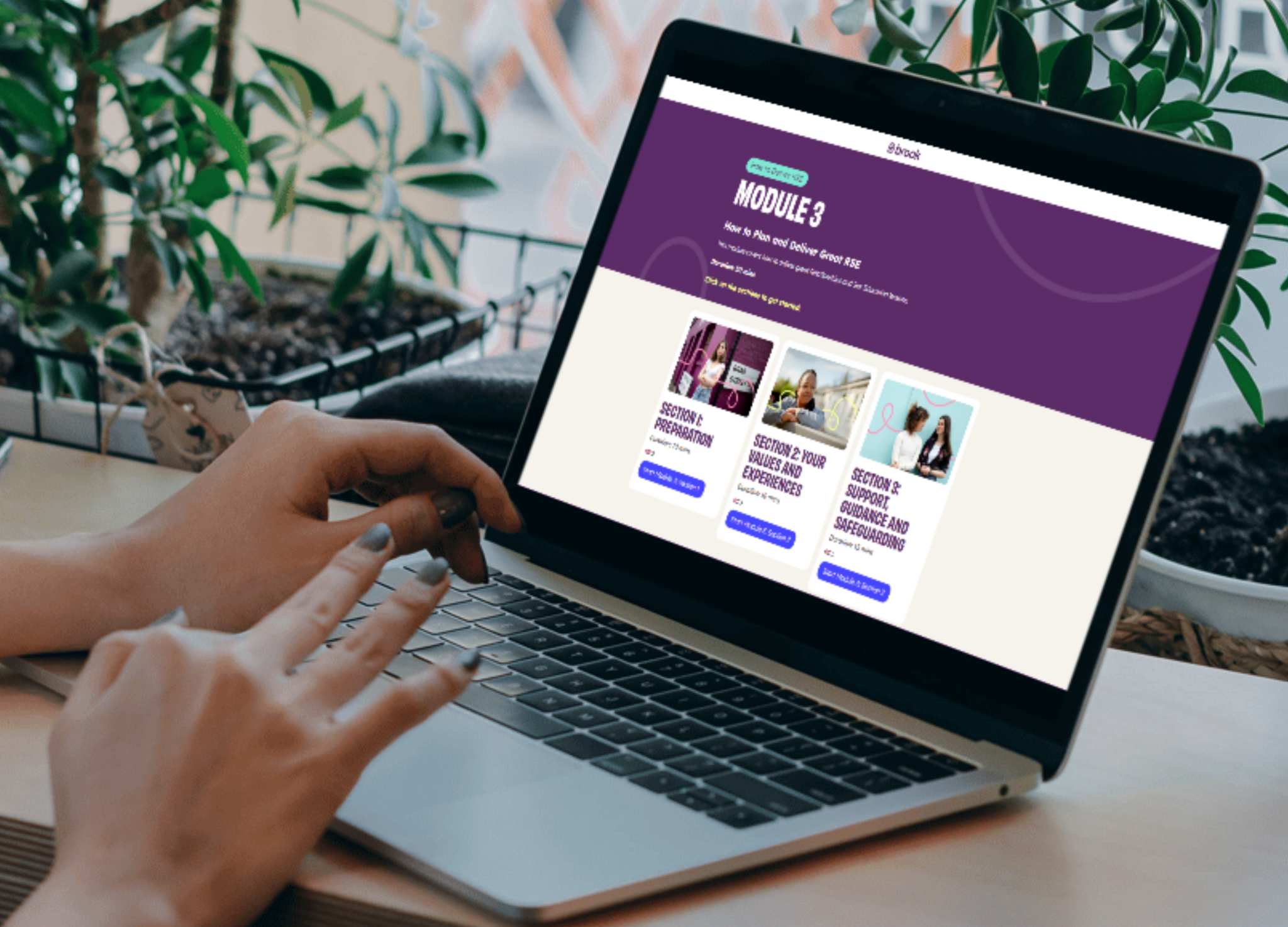 CPD: Brook Sexual Behaviours Traffic Light Tool (RSE) Course