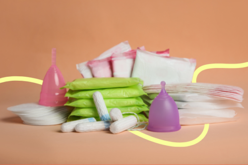 Menstrual Cycle - Phases and Features